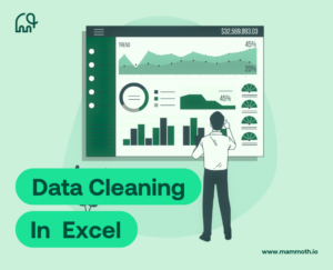 Data Cleaning in Excel: 8 Best Techniques and Tips [In 2024]